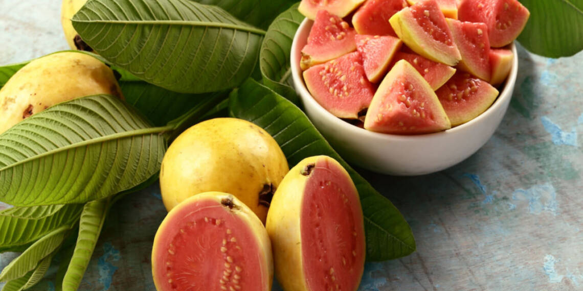 Top 11 Benefits Of Guava, Nutritional Facts, & Healthy Recipes