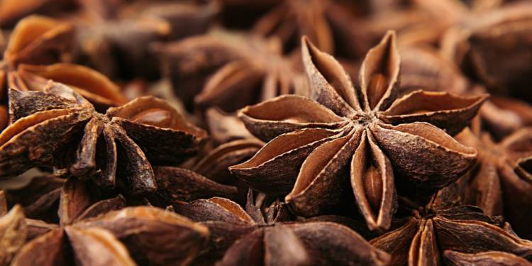 Star Anise: Benefits and Nutritional Facts - HealthifyMe