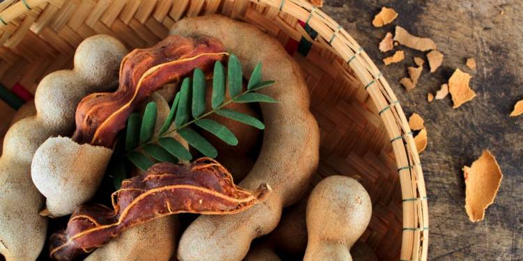 Tamarind: A Tropical Fruit With Several Health Benefits- HealthifyMe