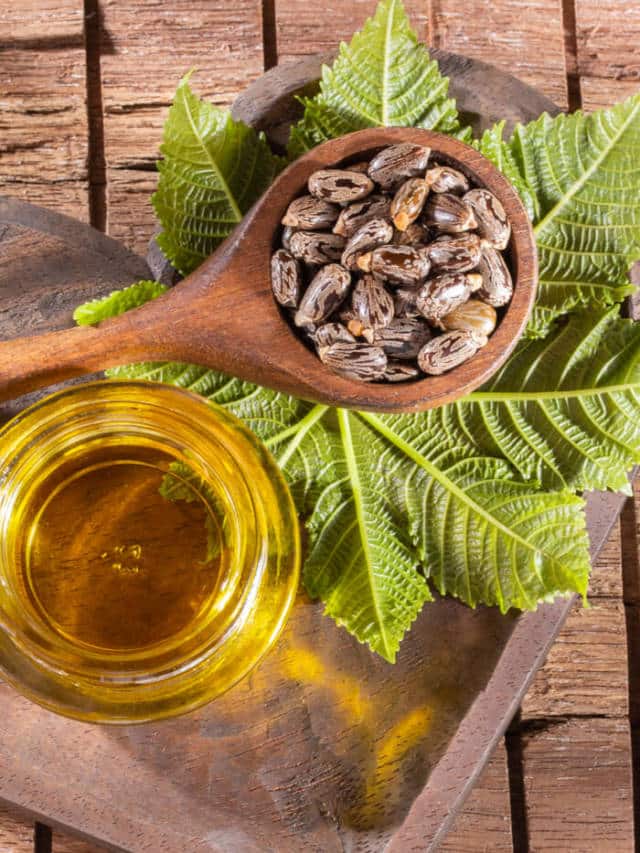 7 Amazing Health Benefits of Castor Oil - Blog - HealthifyMe