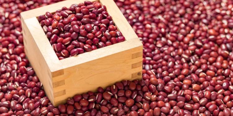 Adzuki Beans: Nutritional Properties And Health Benefits- HealthifyMe