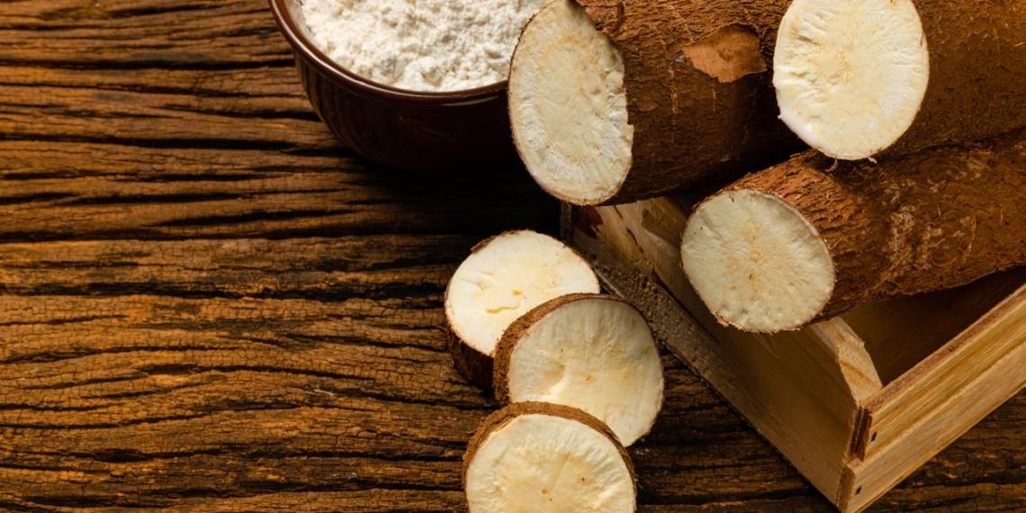 Arrowroot: Health Benefits, Uses and More- HealthifyMe