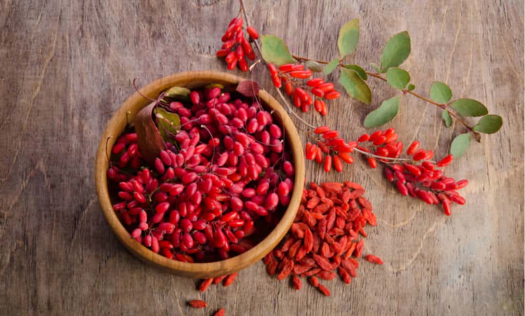 Goji Berry: Nutrition Facts, Benefits, And Side Effects - HealthifyMe