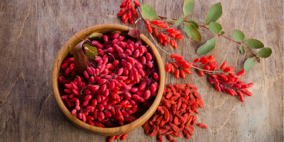 Goji Berry: Nutrition Facts, Benefits, and Side Effects - HealthifyMe