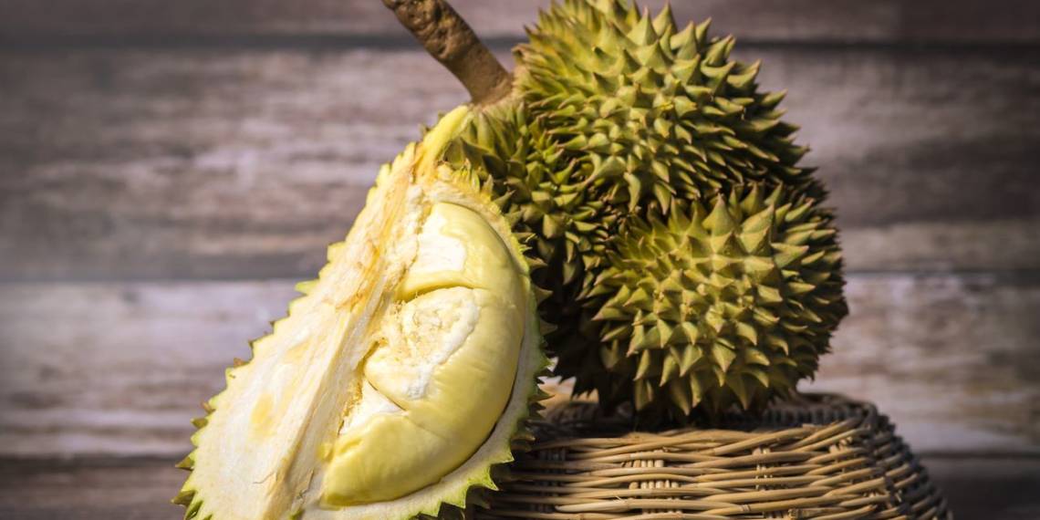 Durian Fruit - Nutrition, Benefits, and Side Effects - HealthifyMe