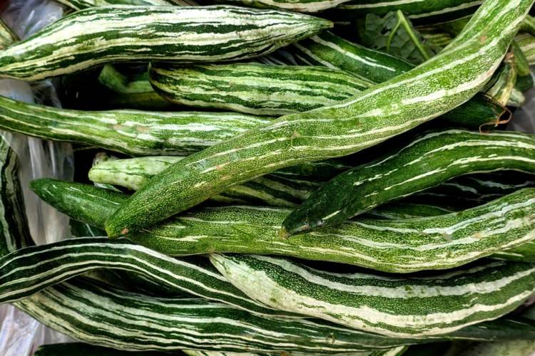 Snake Gourd & Seeds: Health Benefits, Nutrition, Uses And Side Effects ...