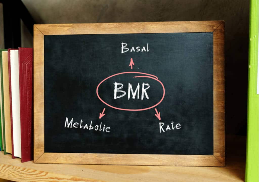 BMR Calculator - Calculate Your Basal Metabolic Rate - Blog - HealthifyMe