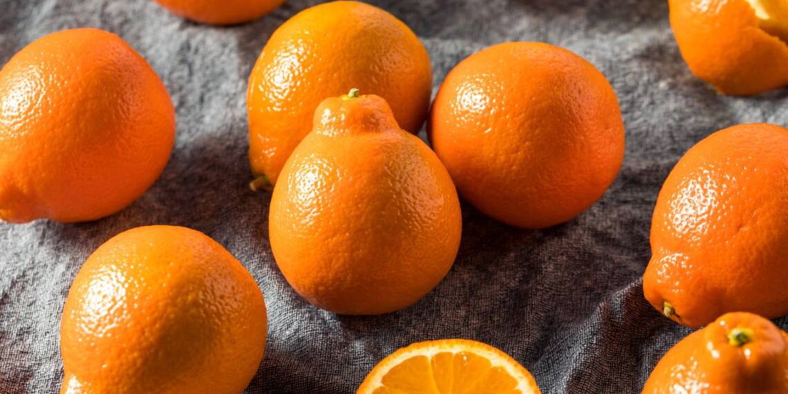 Tangelo: Nutritional Information and Health Benefits - HealthifyMe