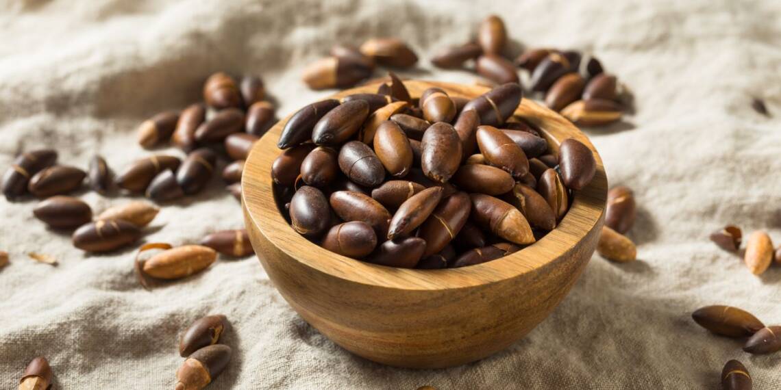 Baru Nuts - The Fleshy Fruit with a High Nutrition - HealthifyMe