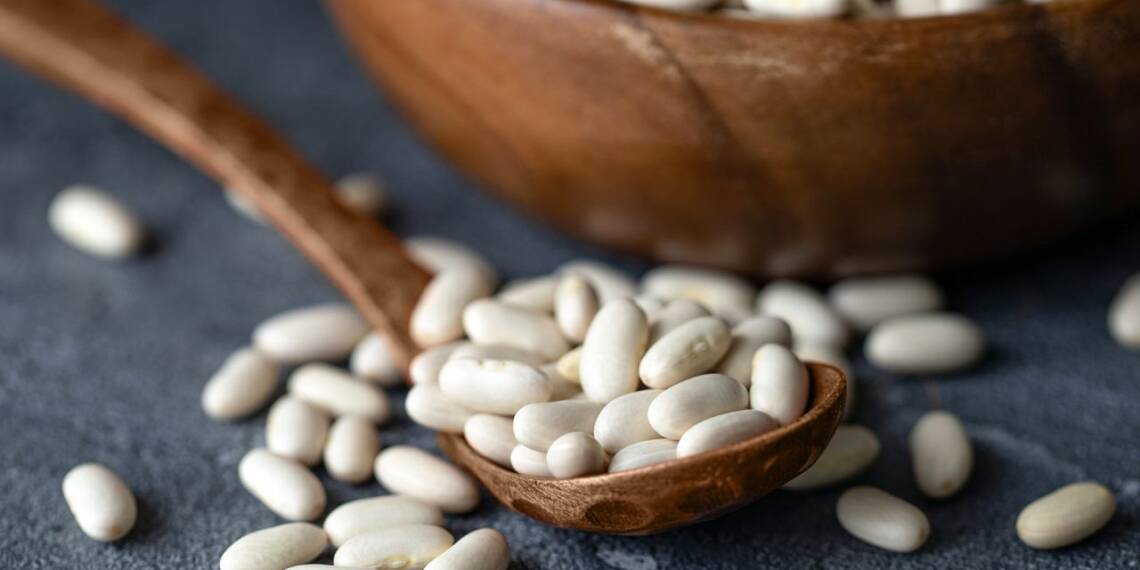 Northern Beans - Health Benefits, & Adverse Effects - HealthifyMe