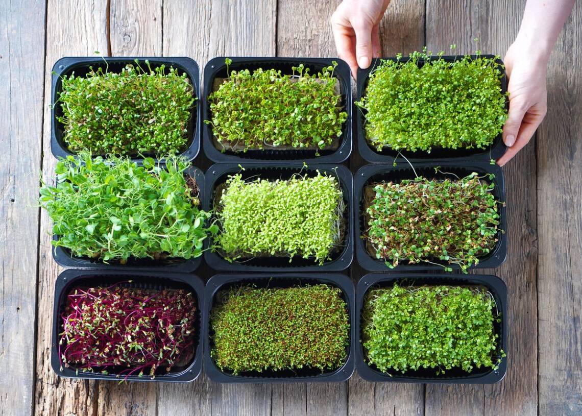 15 Sodium Rich Foods - Benefits & Risks - HealthifyMe