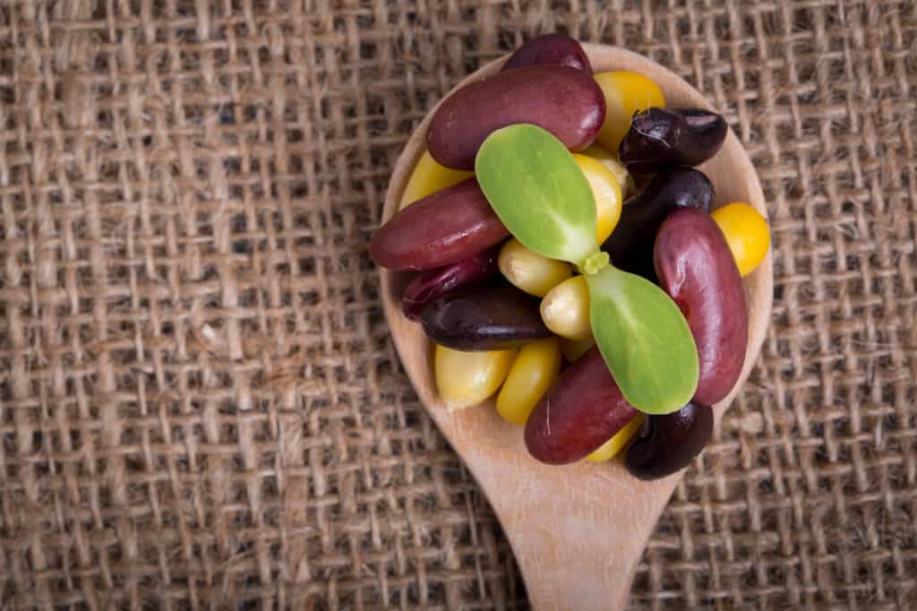 How To Increase HDL Cholesterol With Indian Food? - Blog - HealthifyMe