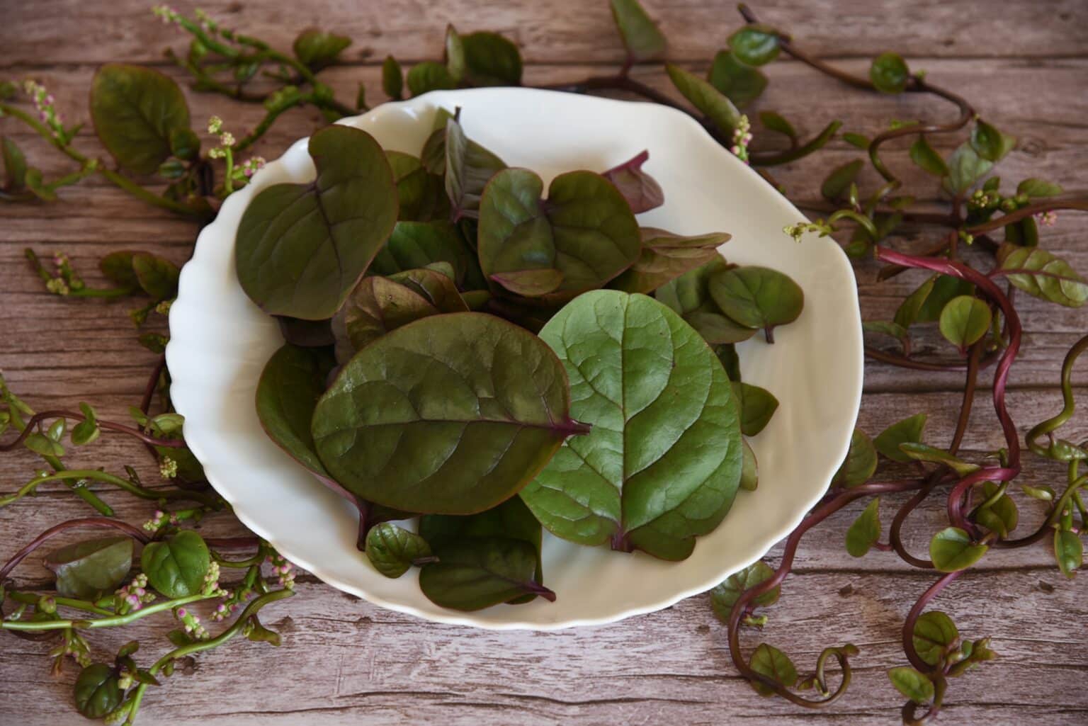 11 Lesser Known Indian Leafy Vegetables: HealthifyMe