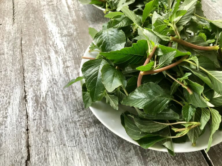 11 Lesser Known Indian Leafy Vegetables: HealthifyMe