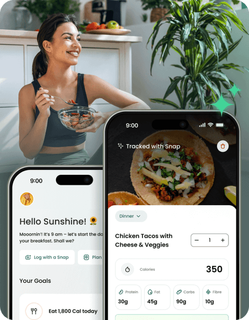 Healthify - Your All-in-One Nutrition & Lifestyle Tracker with AI Insights.